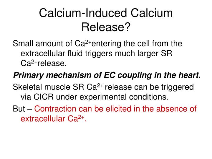 PPT - Skeletal Muscle (and a little cardiac) Excitation-Contraction ...