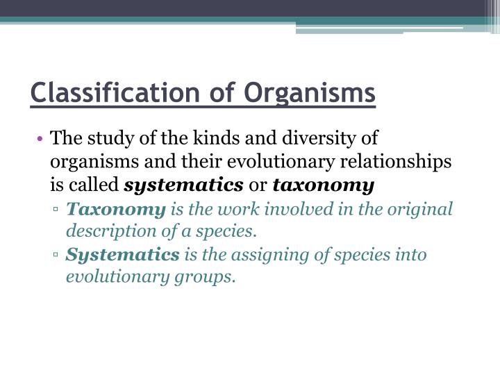 PPT - Classification of Organisms PowerPoint Presentation - ID:1740333