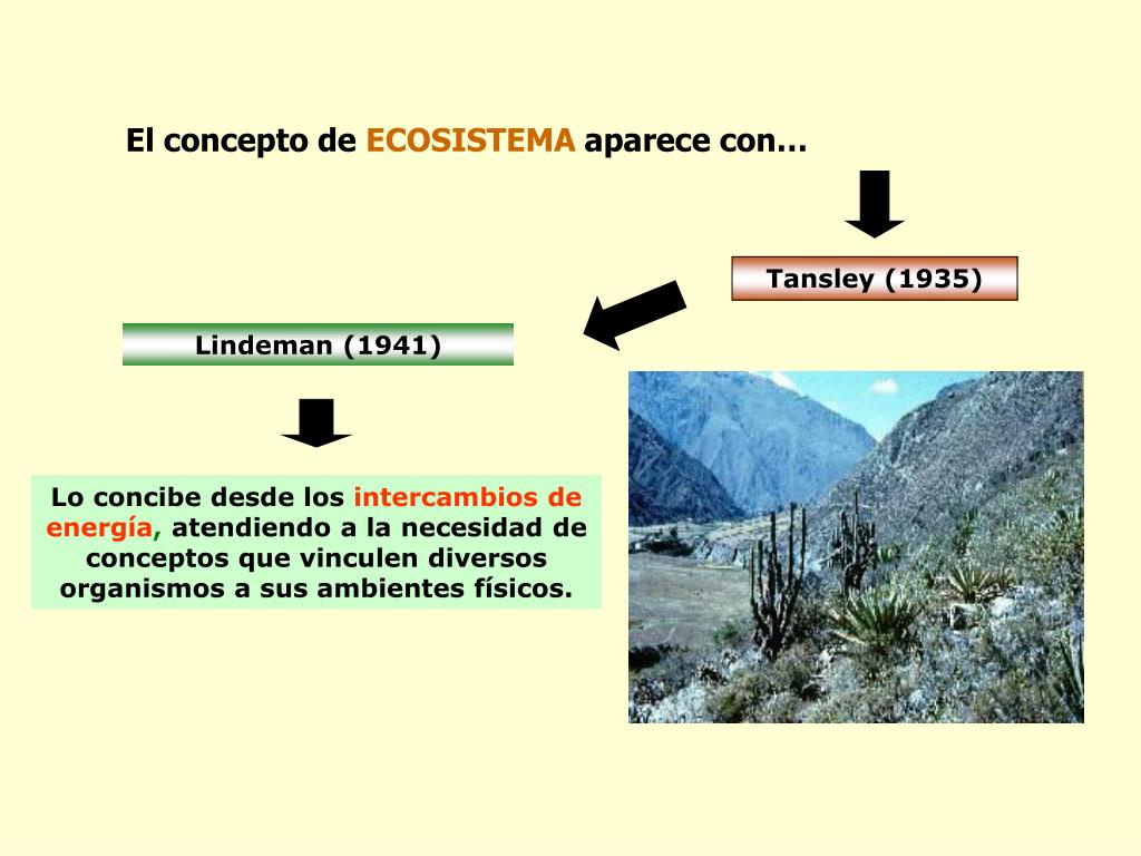PPT - UNIVERSIDAD ICN PREPARATORIA ICN BIOLOGIA: LOS ECOSISTEMAS Y SU ...