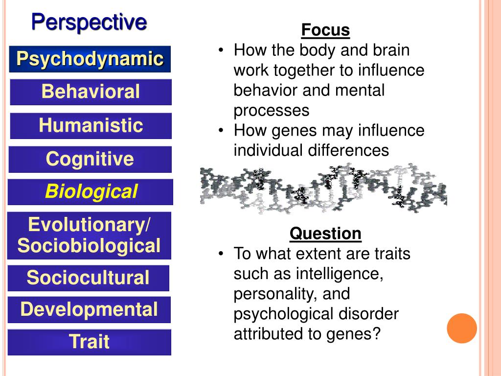 PPT - Chapter 1 PowerPoint Presentation, free download - ID:1740757