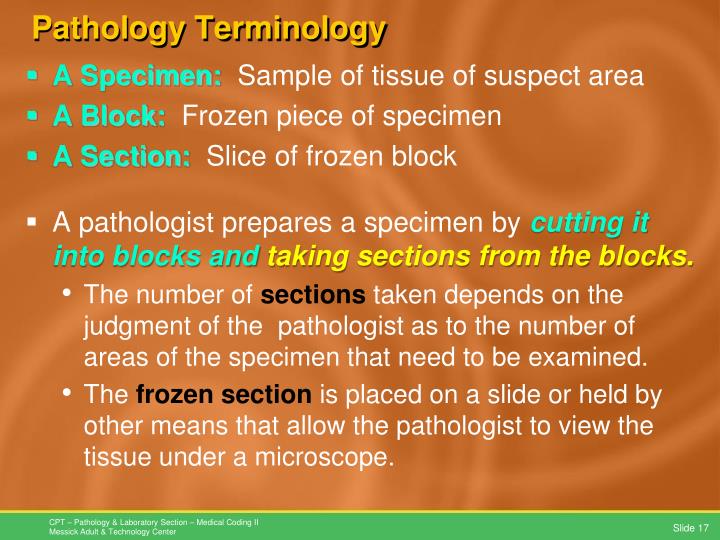 PPT - PATHOLOGY AND LABORATORY PowerPoint Presentation - ID:1741651