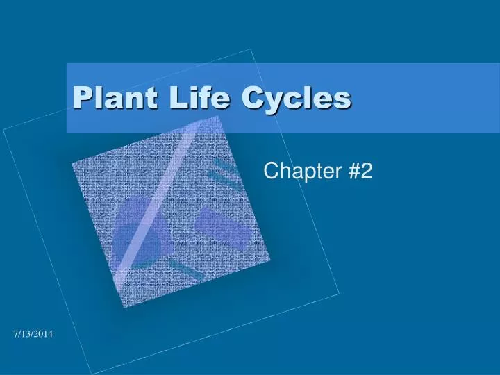 PPT - Plant Life Cycles PowerPoint Presentation, free download - ID:1742128