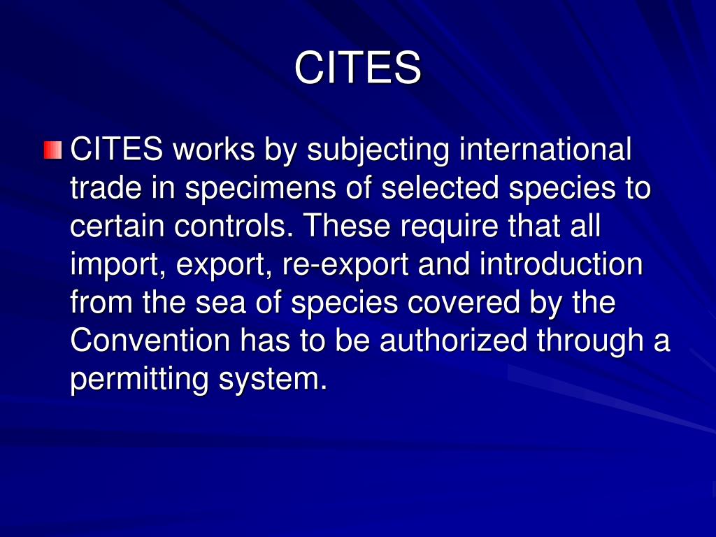 PPT - U.S. FISH & WILDLIFE SERVICE WILDLIFE INSPECTION PROGRAM ...