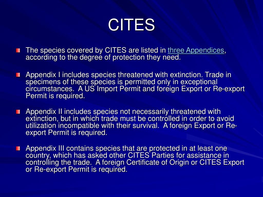 PPT - U.S. FISH & WILDLIFE SERVICE WILDLIFE INSPECTION PROGRAM ...