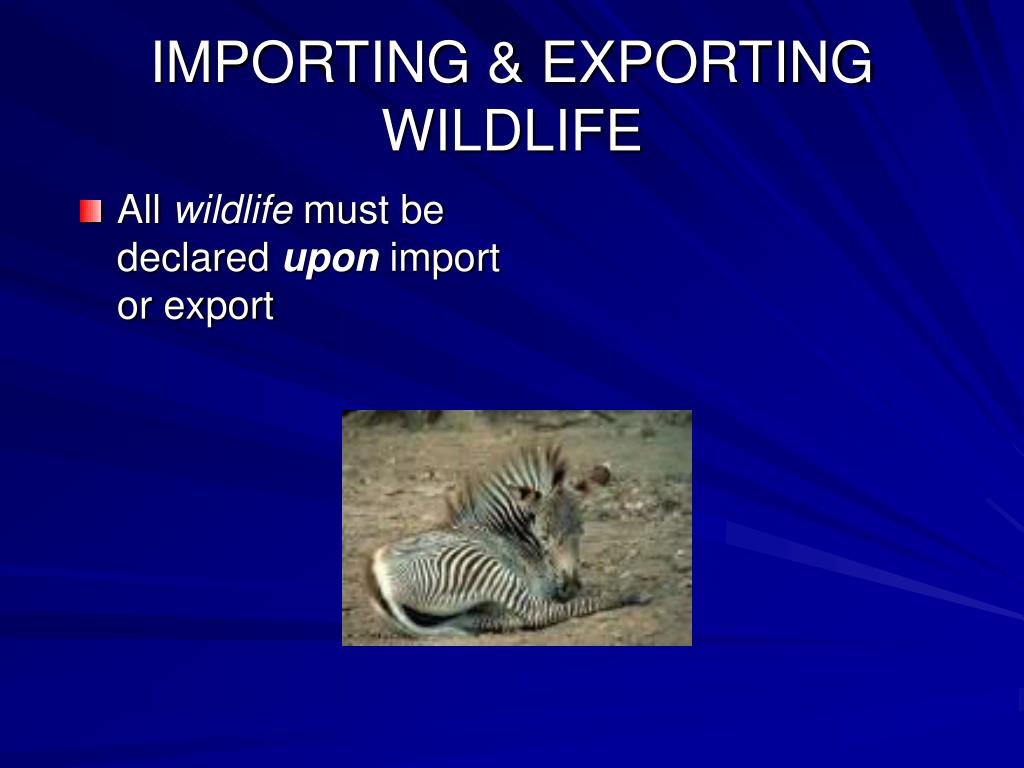 PPT - U.S. FISH & WILDLIFE SERVICE WILDLIFE INSPECTION PROGRAM ...