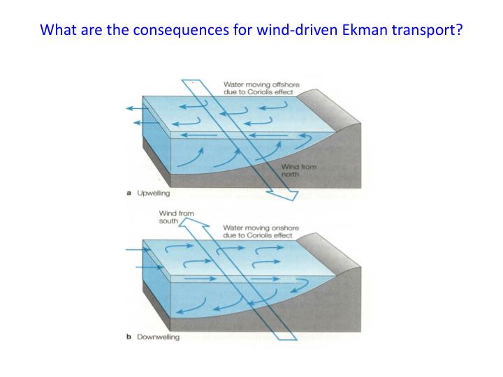 PPT - Ekman Dynamics PowerPoint Presentation - ID:1742699