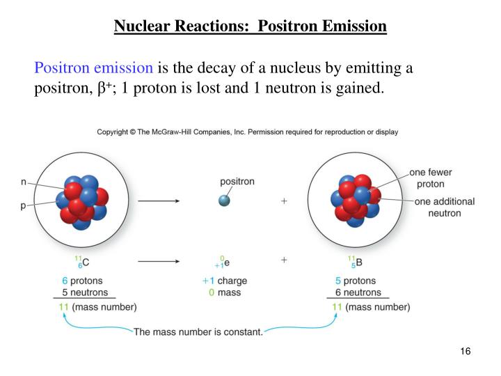 PPT - The Nucleus and Radioactivity Radioactivity: Spontaneous changes ...