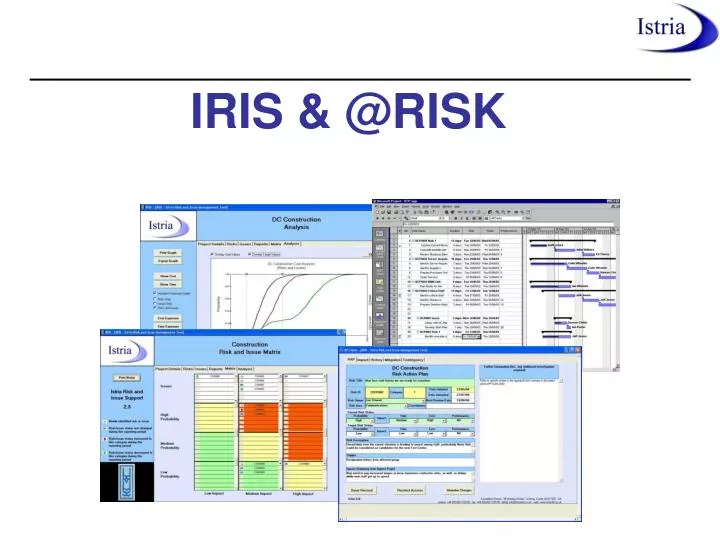 PPT - IRIS & @RISK PowerPoint Presentation, free download - ID:1742850