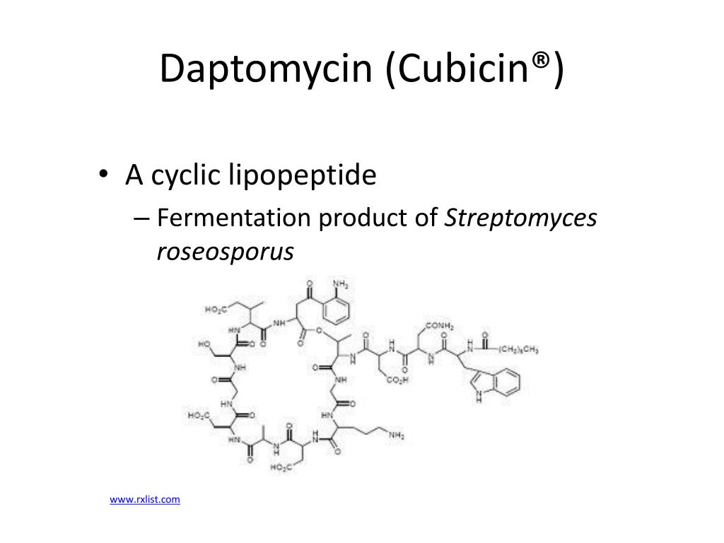 PPT - Agents for VRE: Oxazolidinones , Stretogramins , Cyclic ...