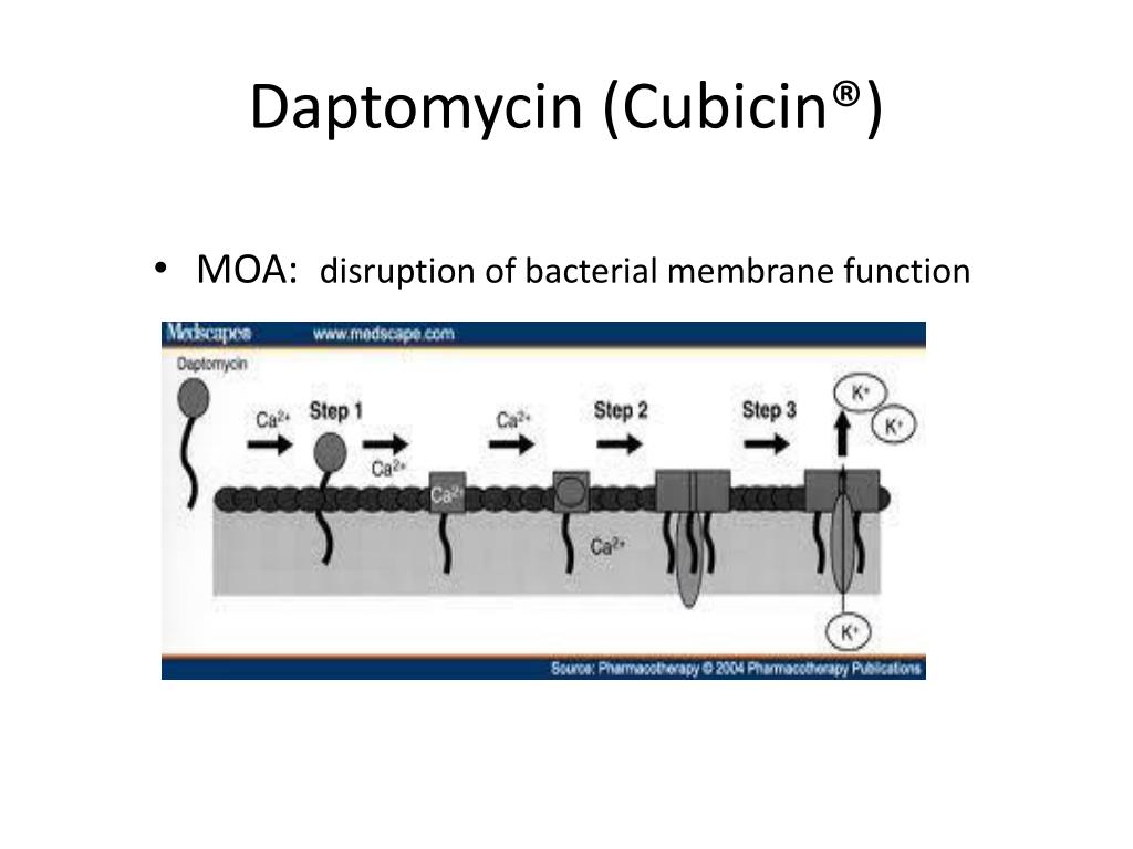 PPT - Agents for VRE: Oxazolidinones , Stretogramins , Cyclic ...