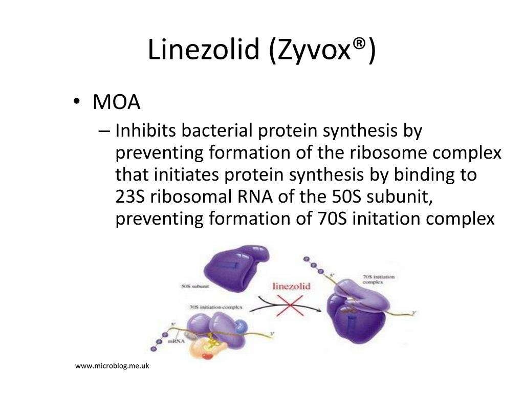 PPT - Agents for VRE: Oxazolidinones , Stretogramins , Cyclic ...