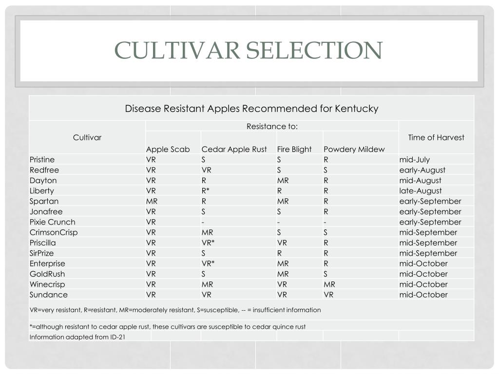 PPT - Nicole Ward, UK Plant pathology PowerPoint Presentation, free ...