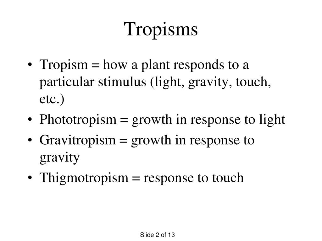 PPT - Phototropism and Plant Hormones PowerPoint Presentation, free ...