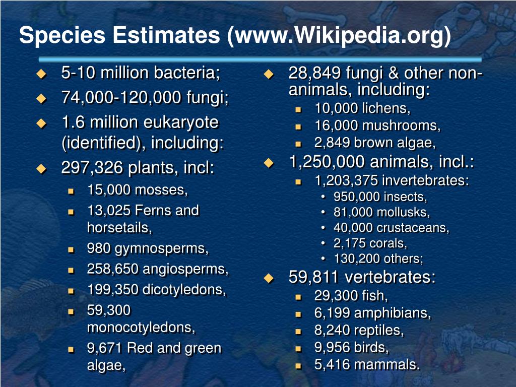 PPT - Science and the Bible and Noah’s Ark By Pastor Phil Layton ...