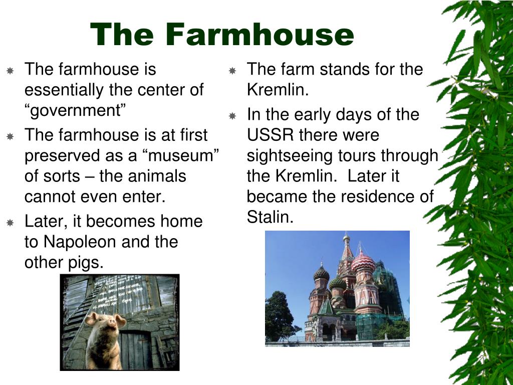 PPT - Animal Farm by George Orwell PowerPoint Presentation, free ...