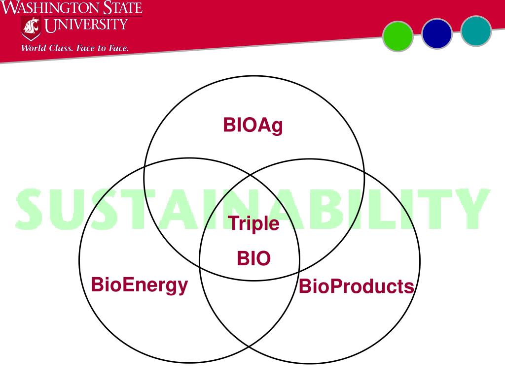 PPT - Triple Bio: Bioagriculture, Bioenergy and Bioproducts PowerPoint ...