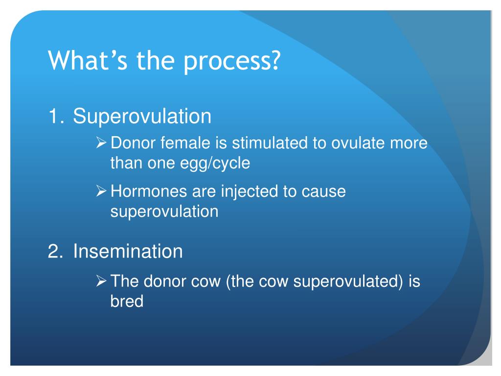 PPT - Got Babies? Embryo Transfer in Livestock PowerPoint Presentation ...