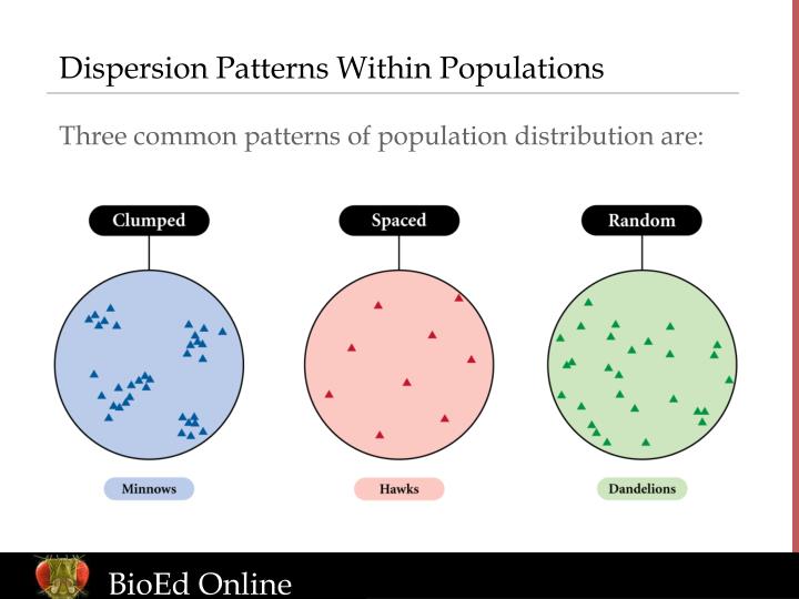 PPT - Interdependence of Life: Introductions to Populations PowerPoint ...