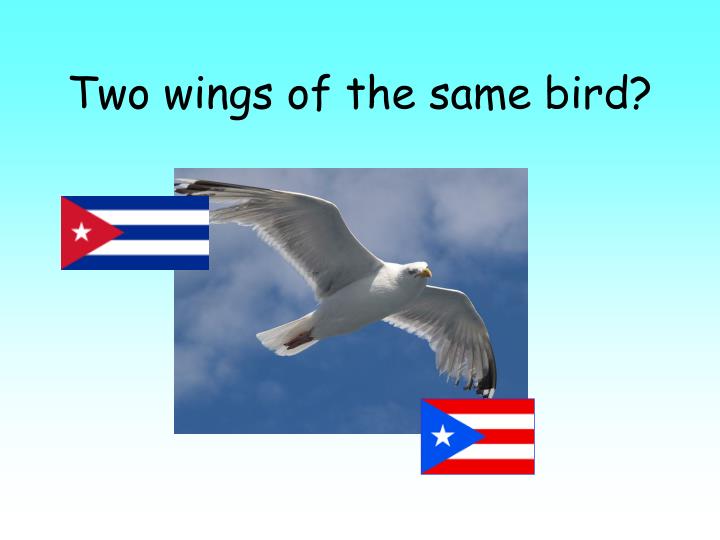 PPT - salsa PowerPoint Presentation - ID:1744335