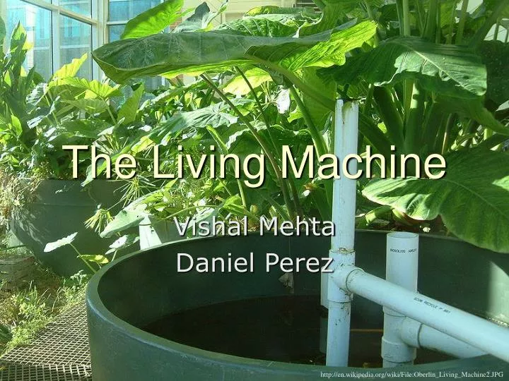 PPT - The Living Machine PowerPoint Presentation, free download - ID ...