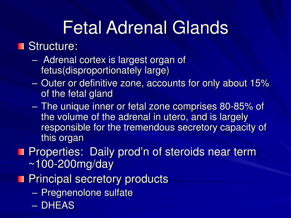 PPT - Endocrinology of Pregnancy: The Placenta PowerPoint Presentation ...