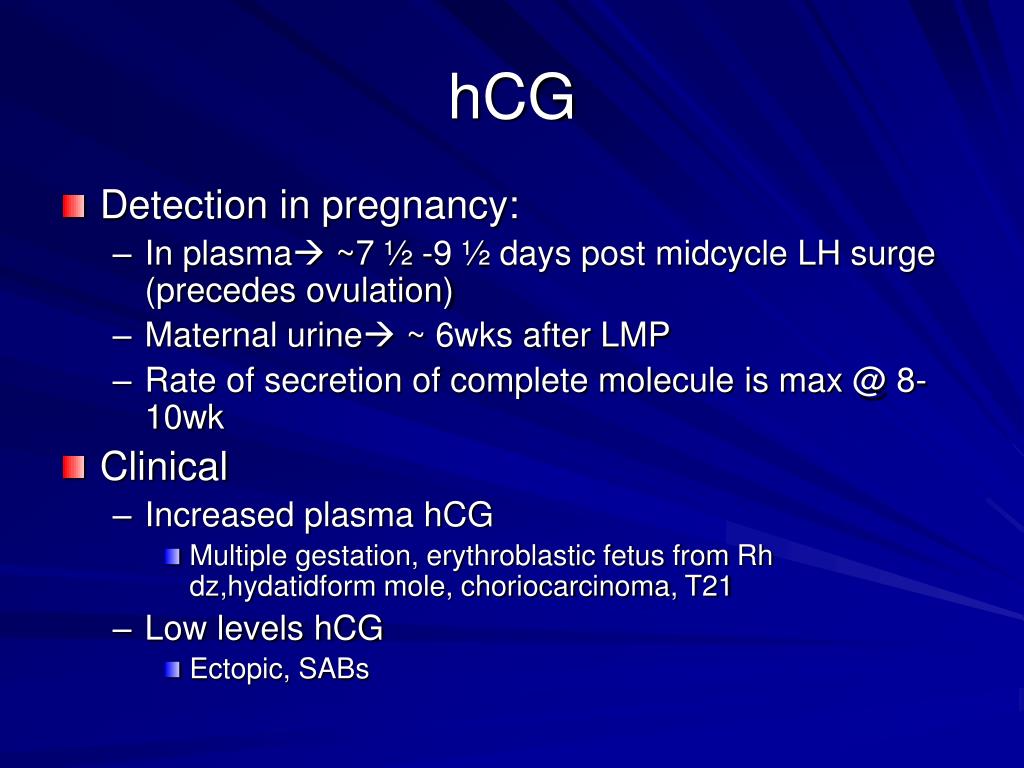 PPT - Endocrinology of Pregnancy: The Placenta PowerPoint Presentation ...