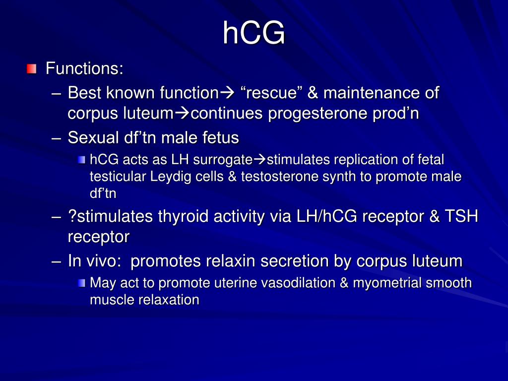 PPT - Endocrinology of Pregnancy: The Placenta PowerPoint Presentation ...