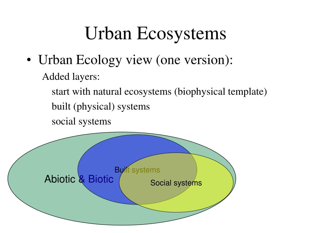 PPT - Urban Growth Management and Wildlife Conservation Strategies in ...