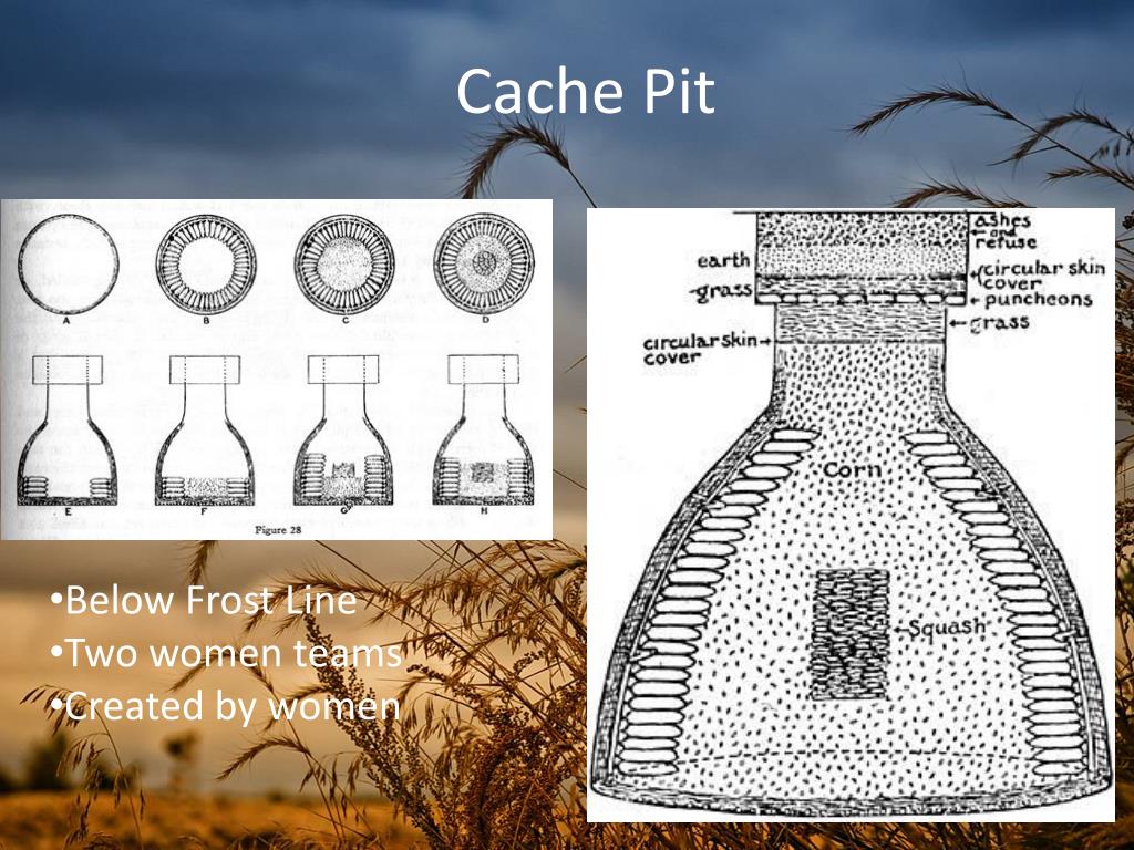 PPT - Native American Traditional Garden: Retracing our heritage ...