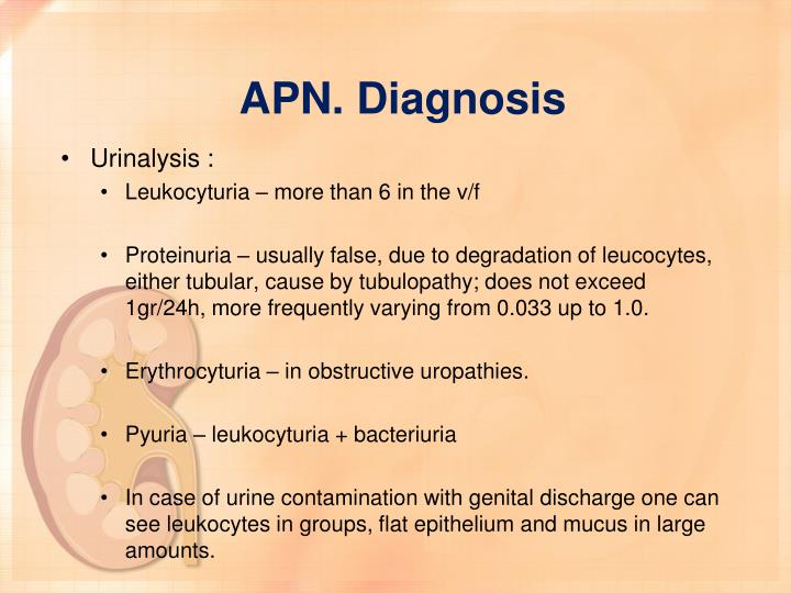 PPT - Interstitial Nephropathies. Urinary Tract Infections. PowerPoint ...