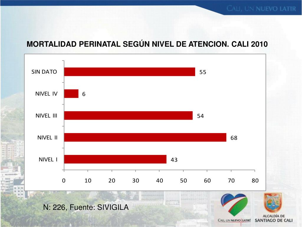 PPT - MORTALIDAD PERINATAL Y NEONATAL TARDÍA SANTIAGO DE CALI 2010 ...