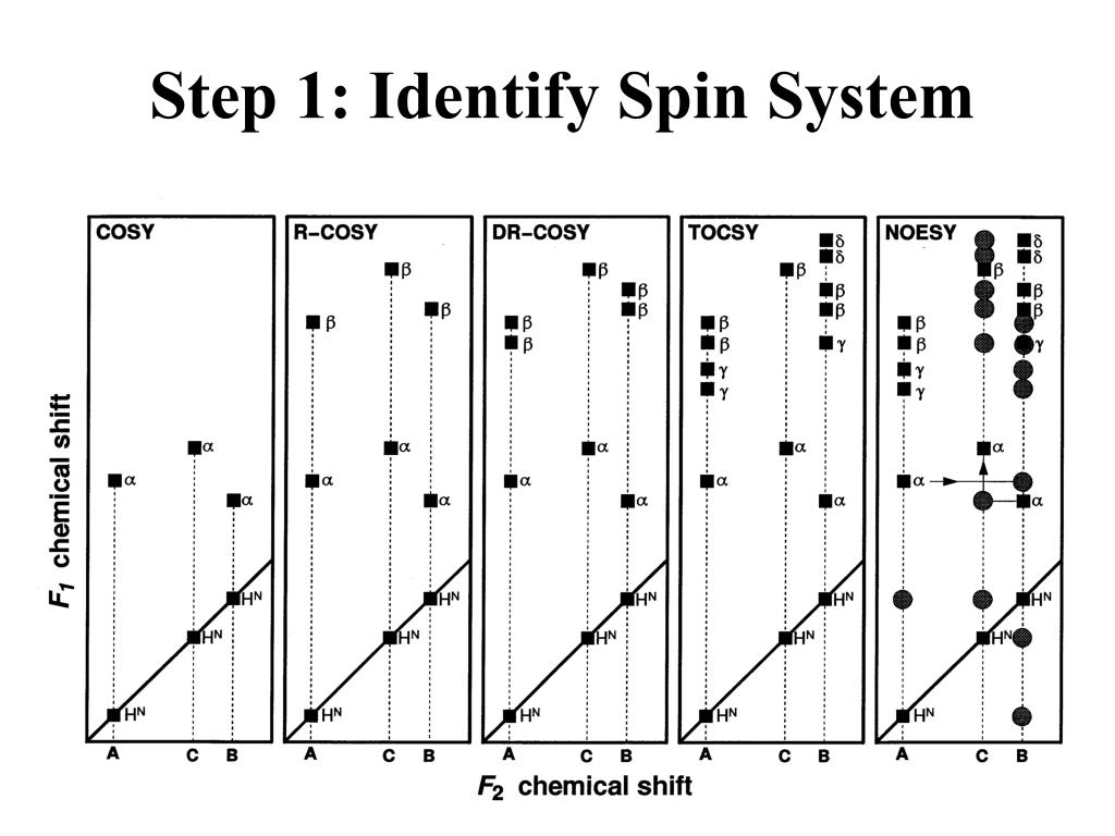 PPT - Biomolecular Nuclear Magnetic Resonance Spectroscopy PowerPoint ...