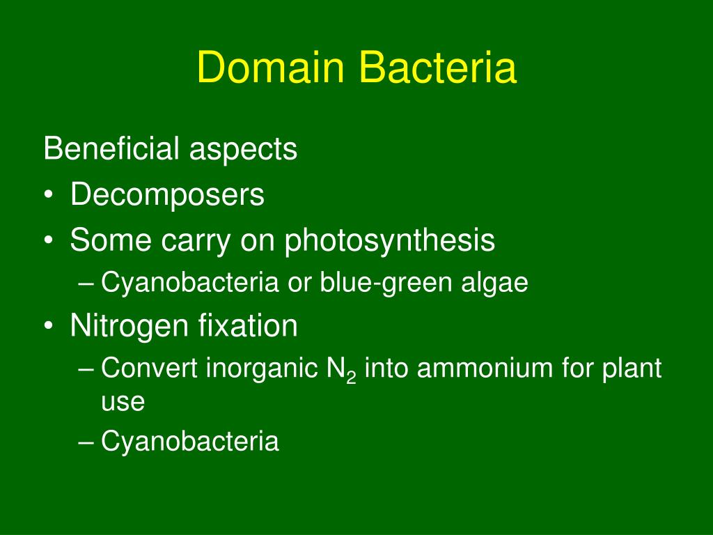 PPT - About Plant Biology PowerPoint Presentation, free download - ID ...