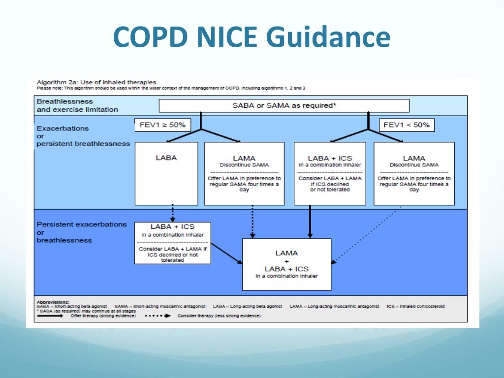 PPT - VALUE AND RESPONSIBLE RESPIRATORY PRESCRIBING Dr Vince Mak ...