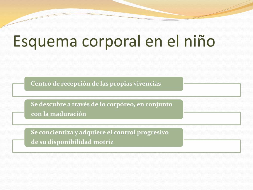 PPT - Esquema corporal o noción del propio cuerpo PowerPoint Presentation - ID:1748070