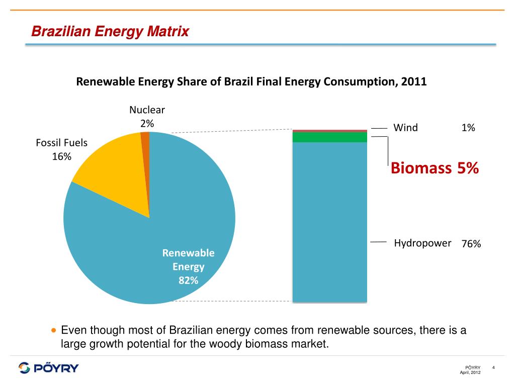 PPT - WOODY BIOMASS FOR THE ENERGY SECTOR IN BRAZIL PowerPoint ...