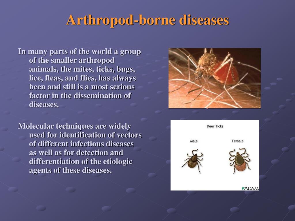 PPT - Department of Tropical Parasitology Institute of Maritime and ...