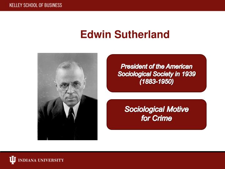 PPT - Martha Stewart PowerPoint Presentation - ID:1748509