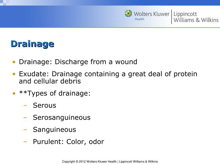 PPT - Chapter 58 Special Skin and Wound Care PowerPoint Presentation ...