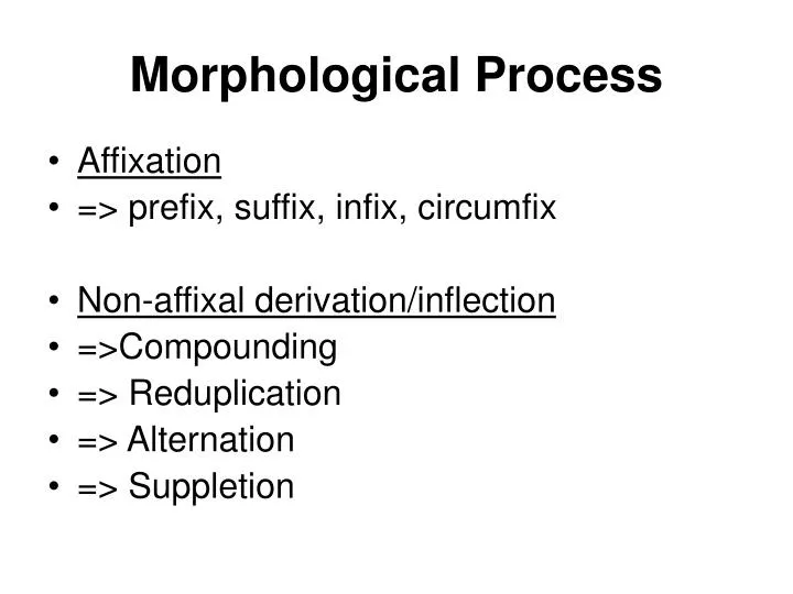 PPT - Morphological Process PowerPoint Presentation, free download - ID ...