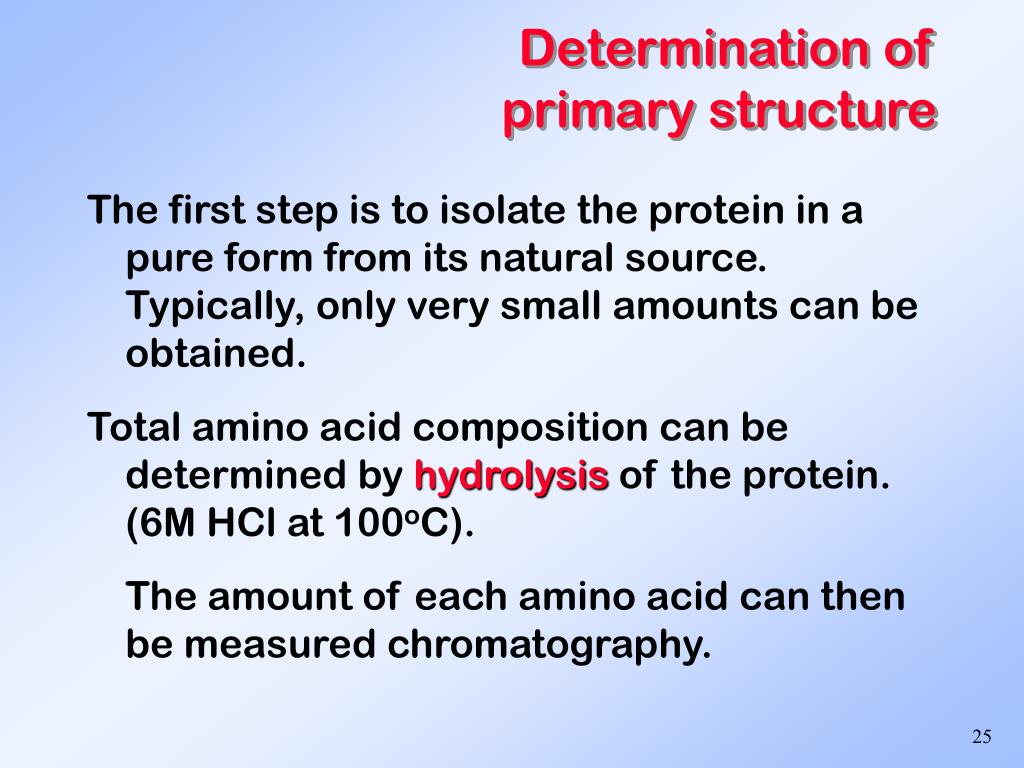 PPT - Amino Acids, Peptides and Proteins PowerPoint Presentation, free ...