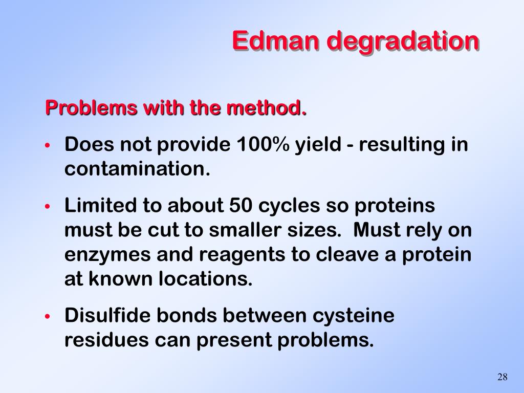 PPT - Amino Acids, Peptides and Proteins PowerPoint Presentation, free ...