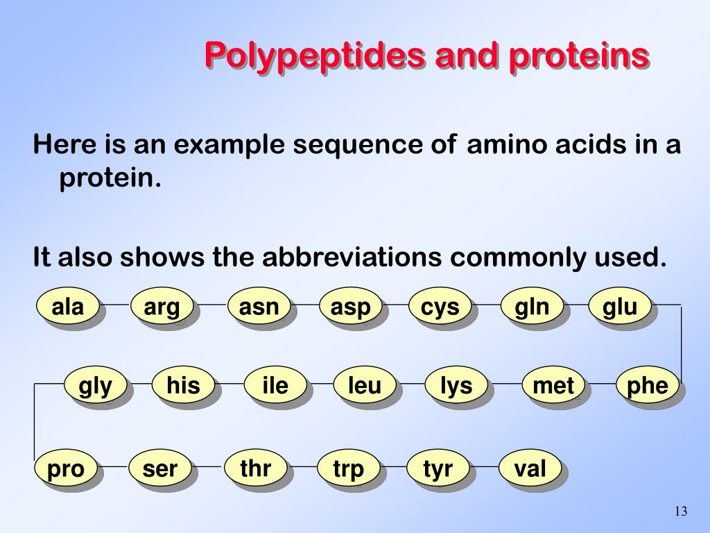 PPT - Amino Acids, Peptides and Proteins PowerPoint Presentation, free ...