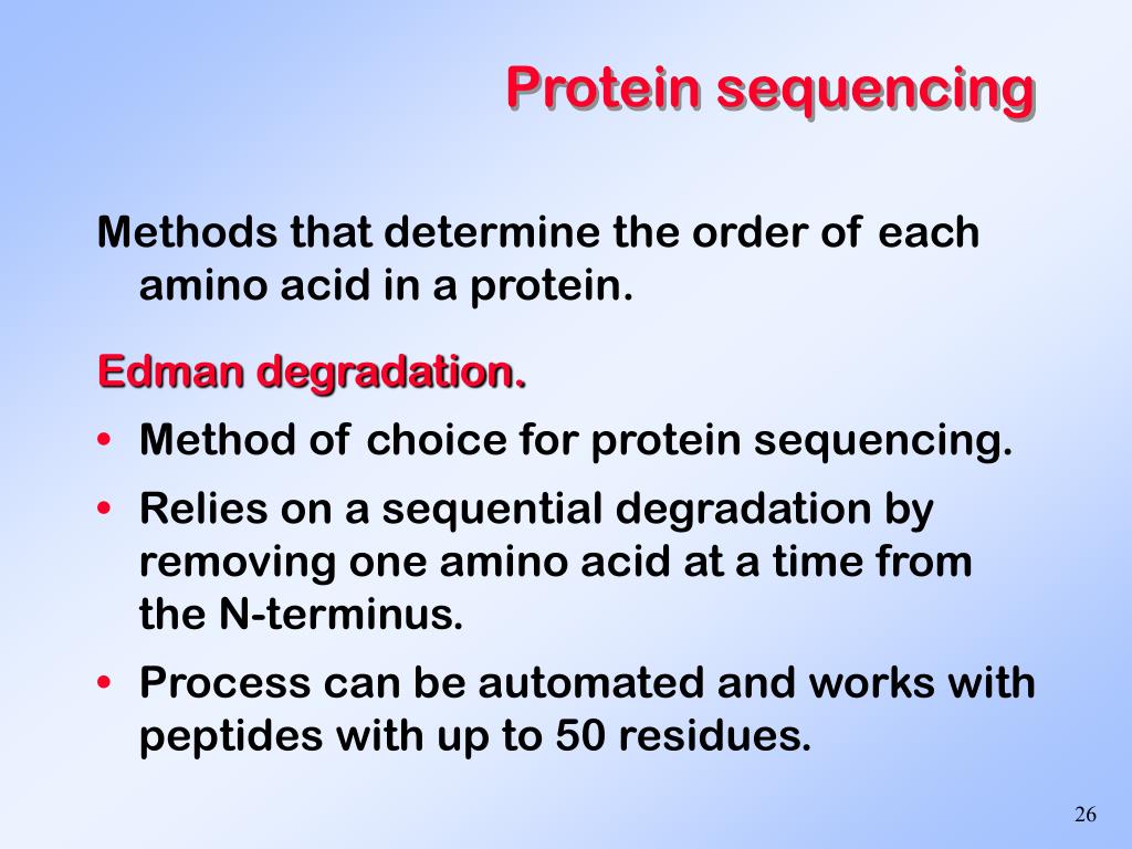 PPT - Amino Acids, Peptides and Proteins PowerPoint Presentation, free ...