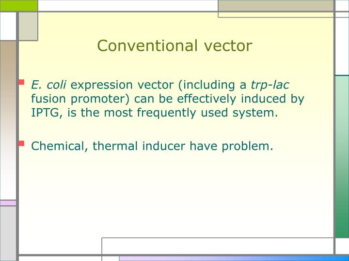 PPT - pHCE vector PowerPoint Presentation - ID:1749934