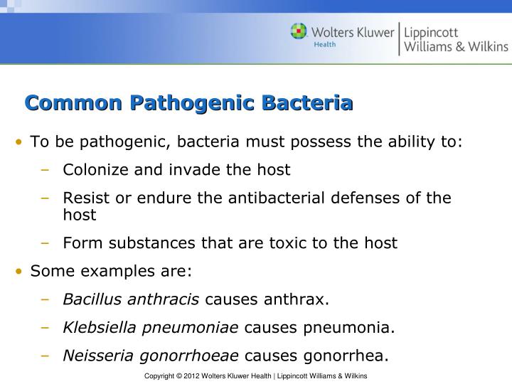 PPT - Chapter 40 Introduction to Microbiology PowerPoint Presentation ...