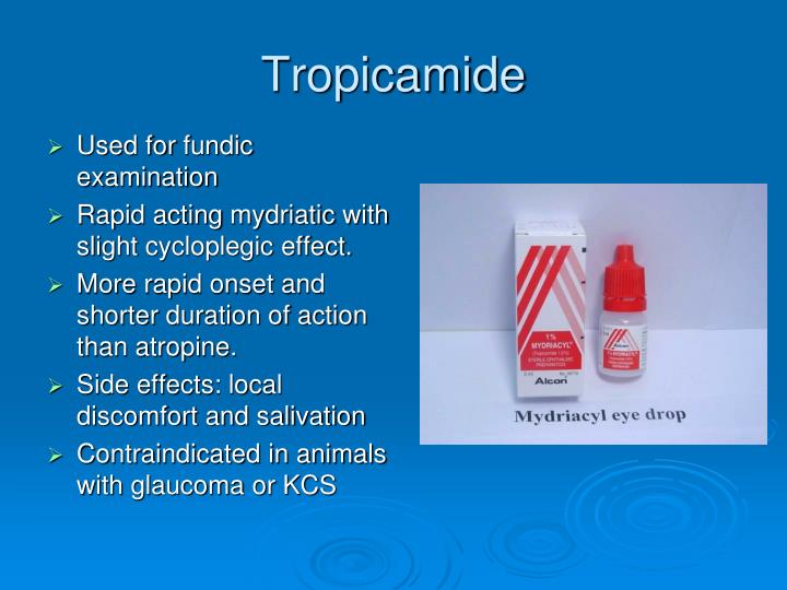 PPT - Ophthalmic and Otic Medications PowerPoint Presentation - ID:1750110