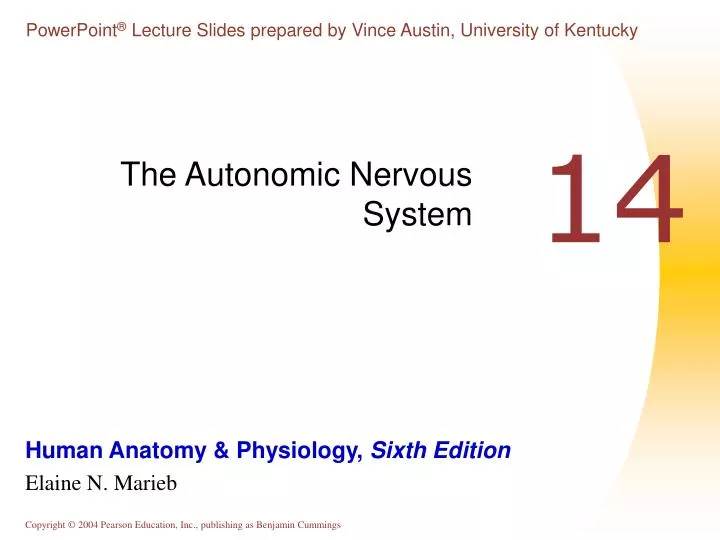 PPT - The Autonomic Nervous System PowerPoint Presentation, free ...