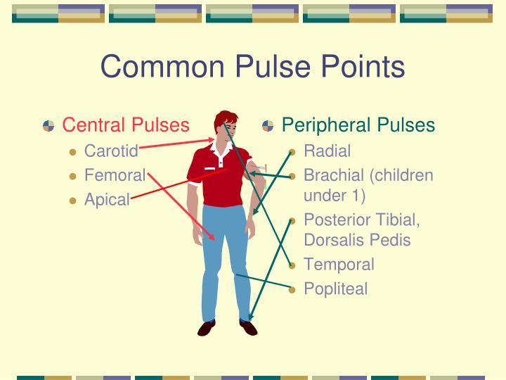 PPT - Vitals and History Taking PowerPoint Presentation - ID:1750397