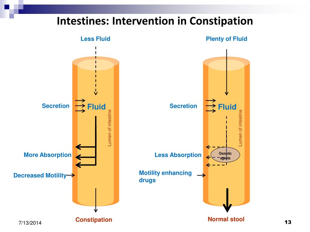 PPT - Pharmacotherapy of GI Motility Disorders (Constipation & Diarrhea ...